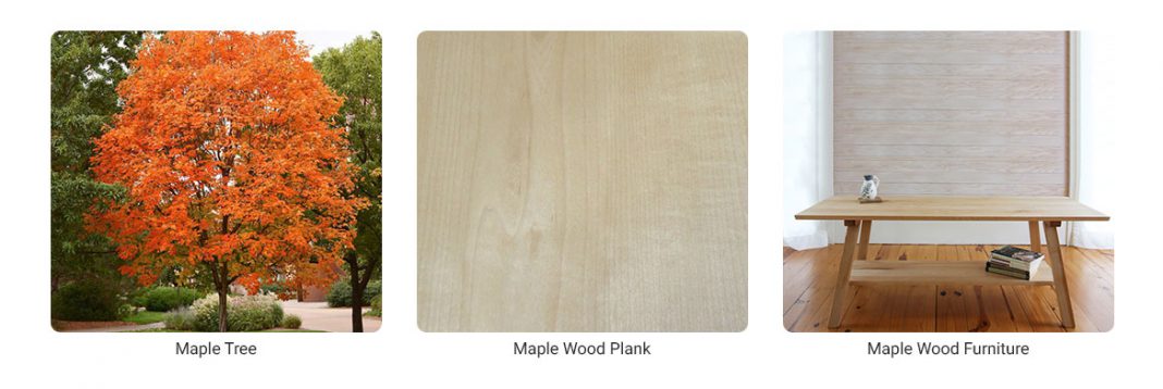 Different Types of Wood For Furniture [Guide]