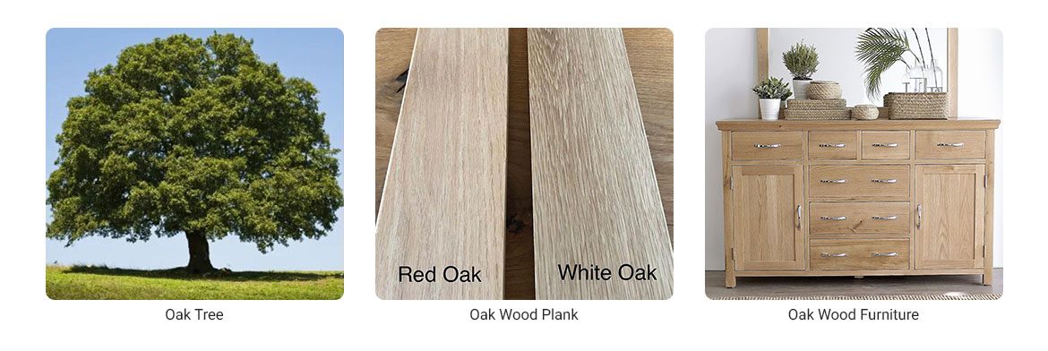 Different Types of Wood For Furniture [Guide]