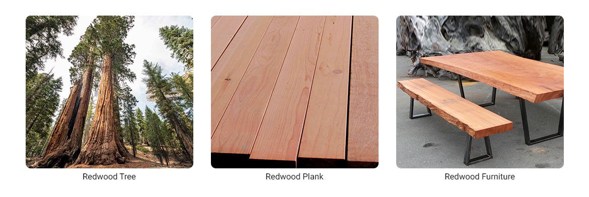 Different Types of Wood For Furniture [Guide]