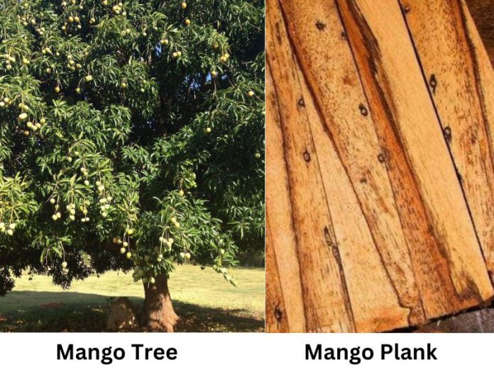 Everything You Need to Know About Mango Wood Furniture