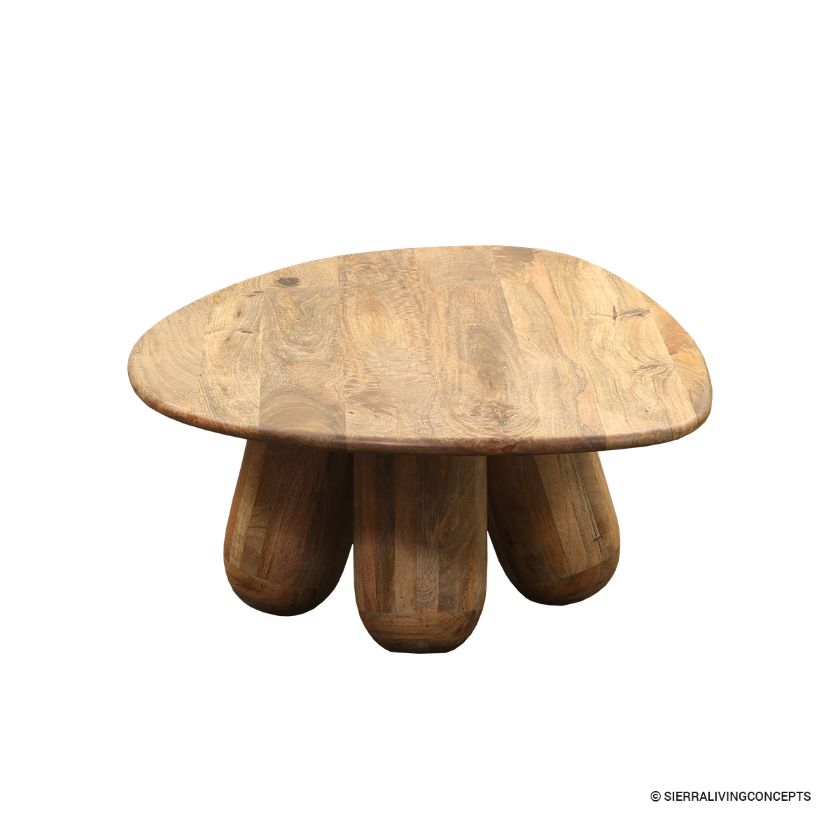 Gokayama Modern Organic Irregular Shaped Coffee Table