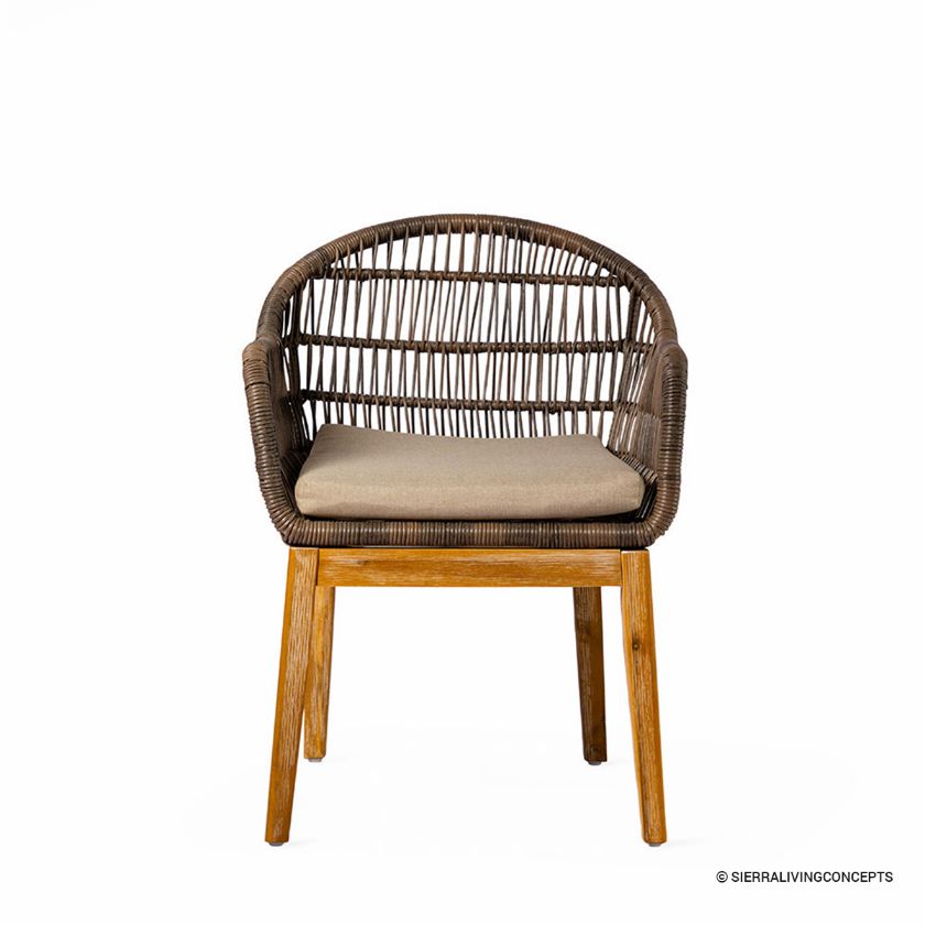 Leafy Modern Wood & Wicker Outdoor Accent Chair